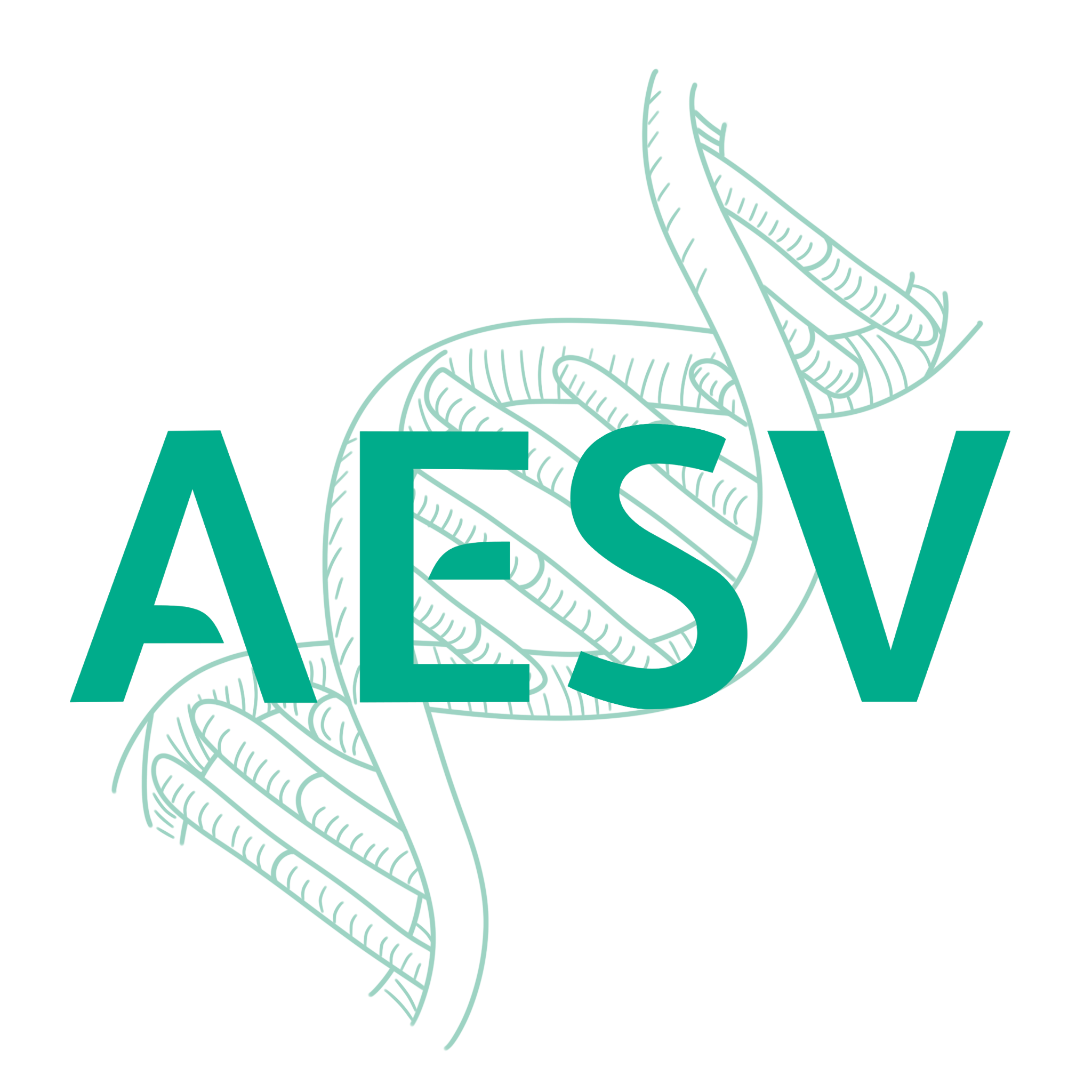 Documents Officiels - Association des Étudiant·e·s en Ingénierie des ...